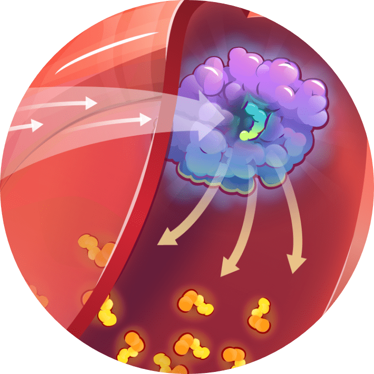 How PYRUKYND works | PYRUKYND® (mitapivat) tablets