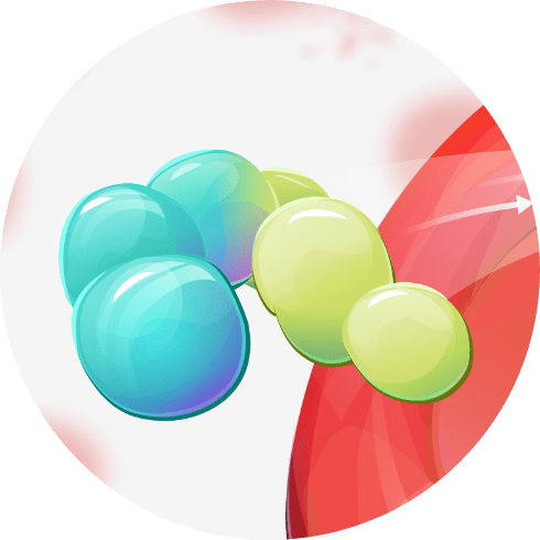 How PYRUKYND works | PYRUKYND® (mitapivat) tablets