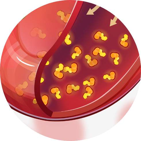 How PYRUKYND works | PYRUKYND® (mitapivat) tablets