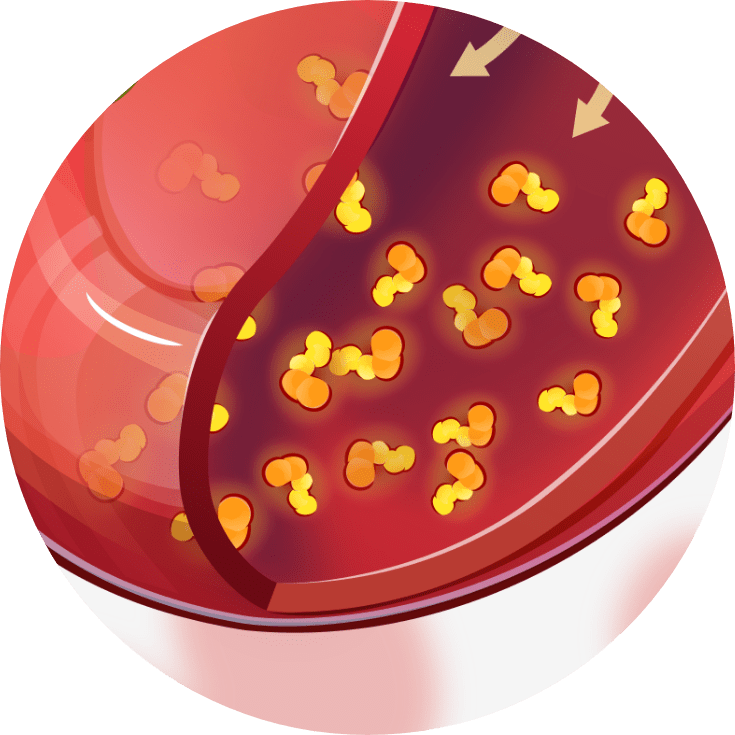 How PYRUKYND works | PYRUKYND® (mitapivat) tablets